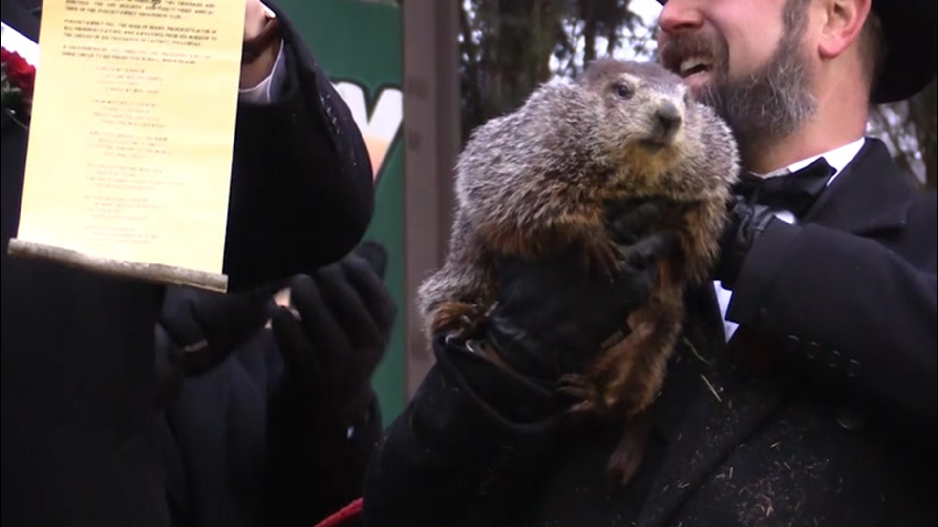The history of Groundhog Day | newswest9.com