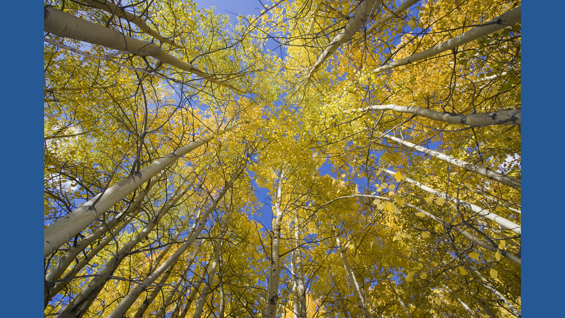 Why do fall skies appear bluer? | newswest9.com