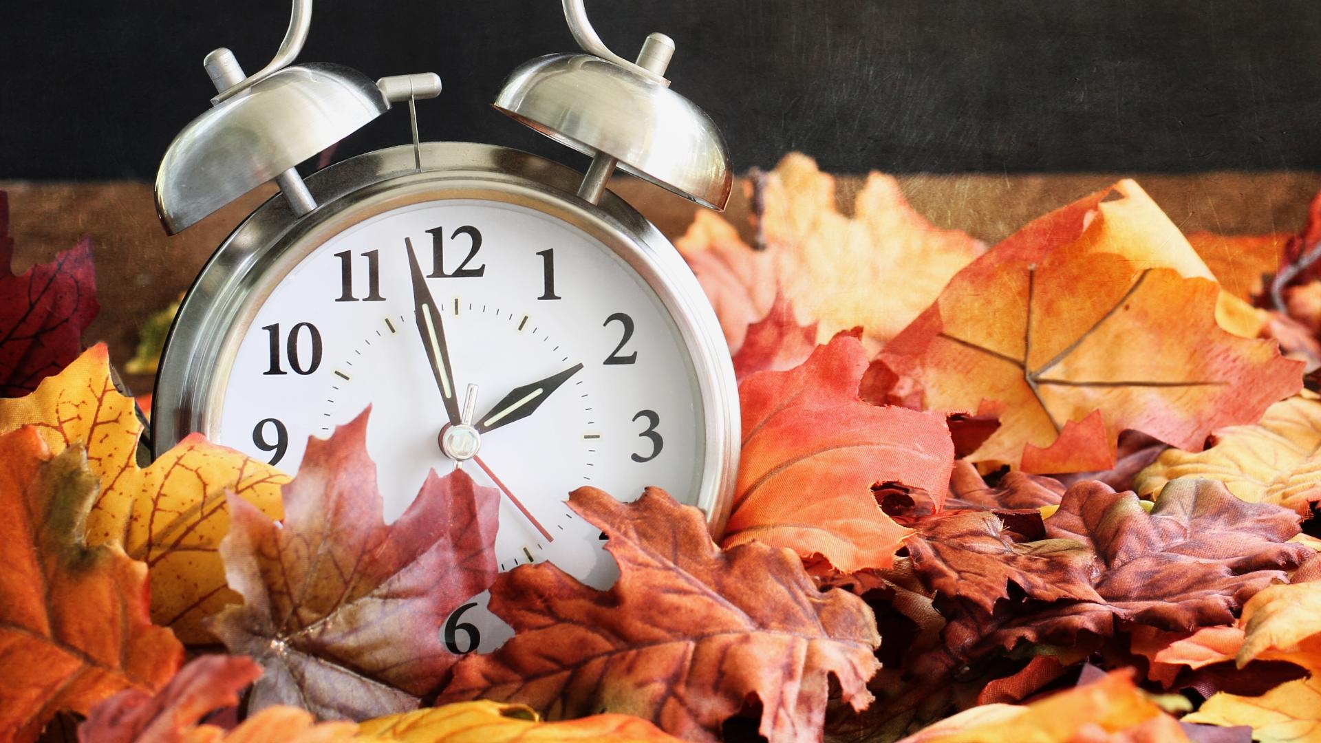 Daylight saving time: When do clocks fall back in 2024? | newswest9.com