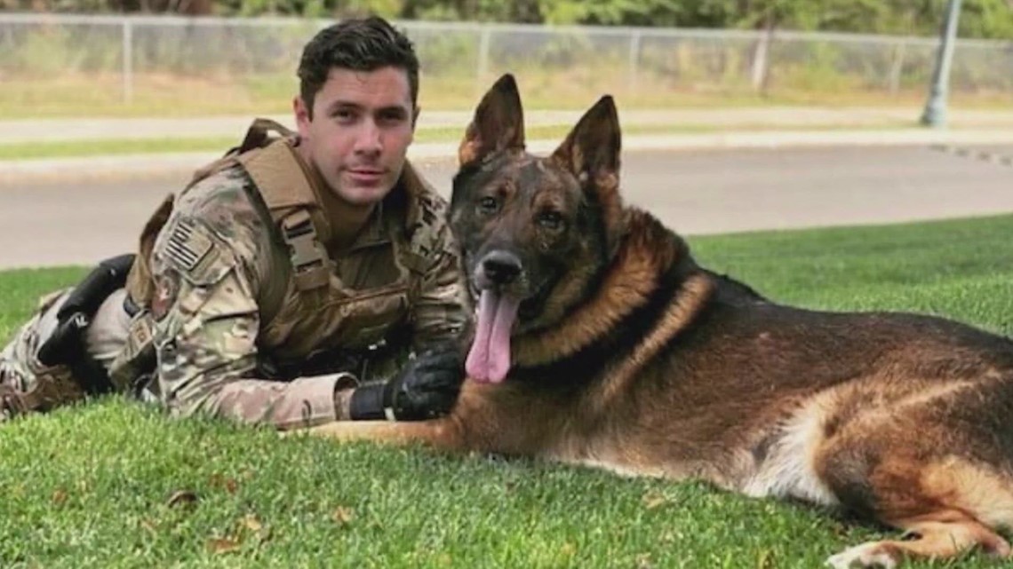 Retired military K-9 reunited with handler in San Antonio | newswest9.com