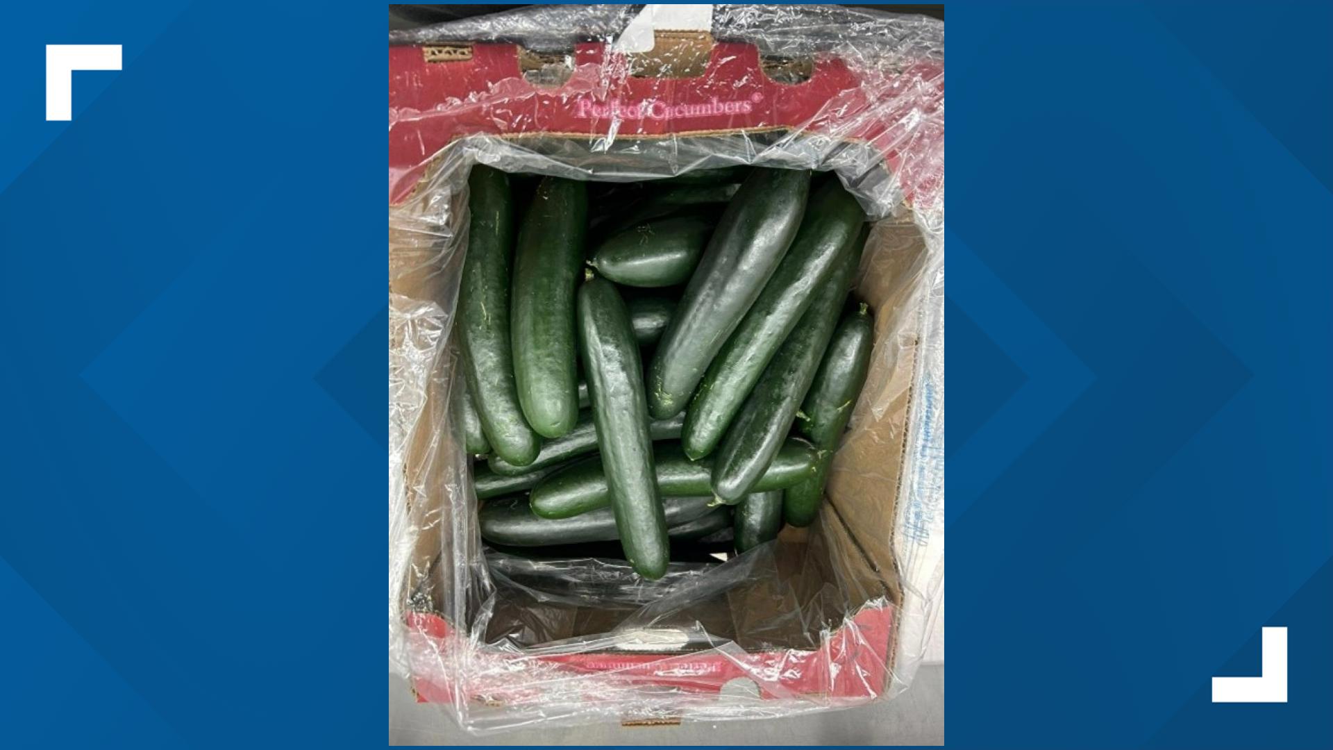 Cucumber recall: Texas among several states where they were sold ...