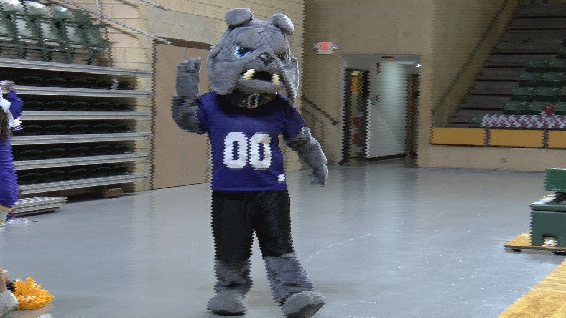 A family of mascots | newswest9.com