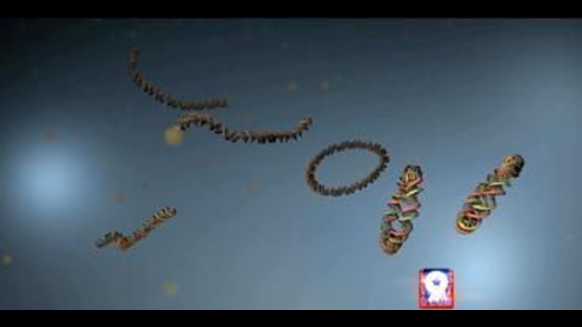 Midland Man Named a Finalist in National Science Video Competition ...