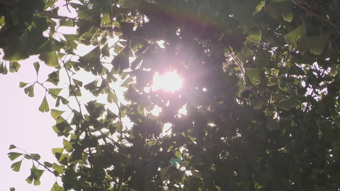 TTUHSC experts speak on subtle health risks created by dangerous heat ...