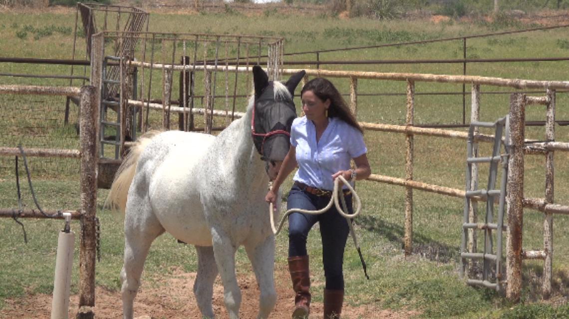 Starlight Therapeutic Riding Center doubles its sign-up numbers in the ...