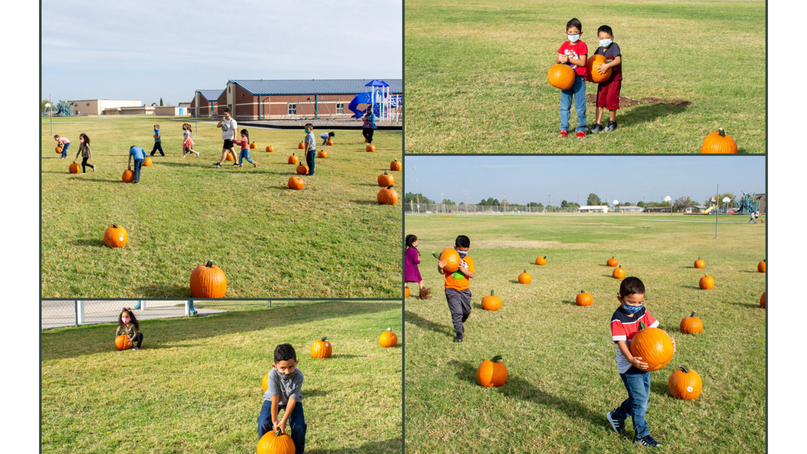 Pumpkin patch fun in Fort Stockton | newswest9.com