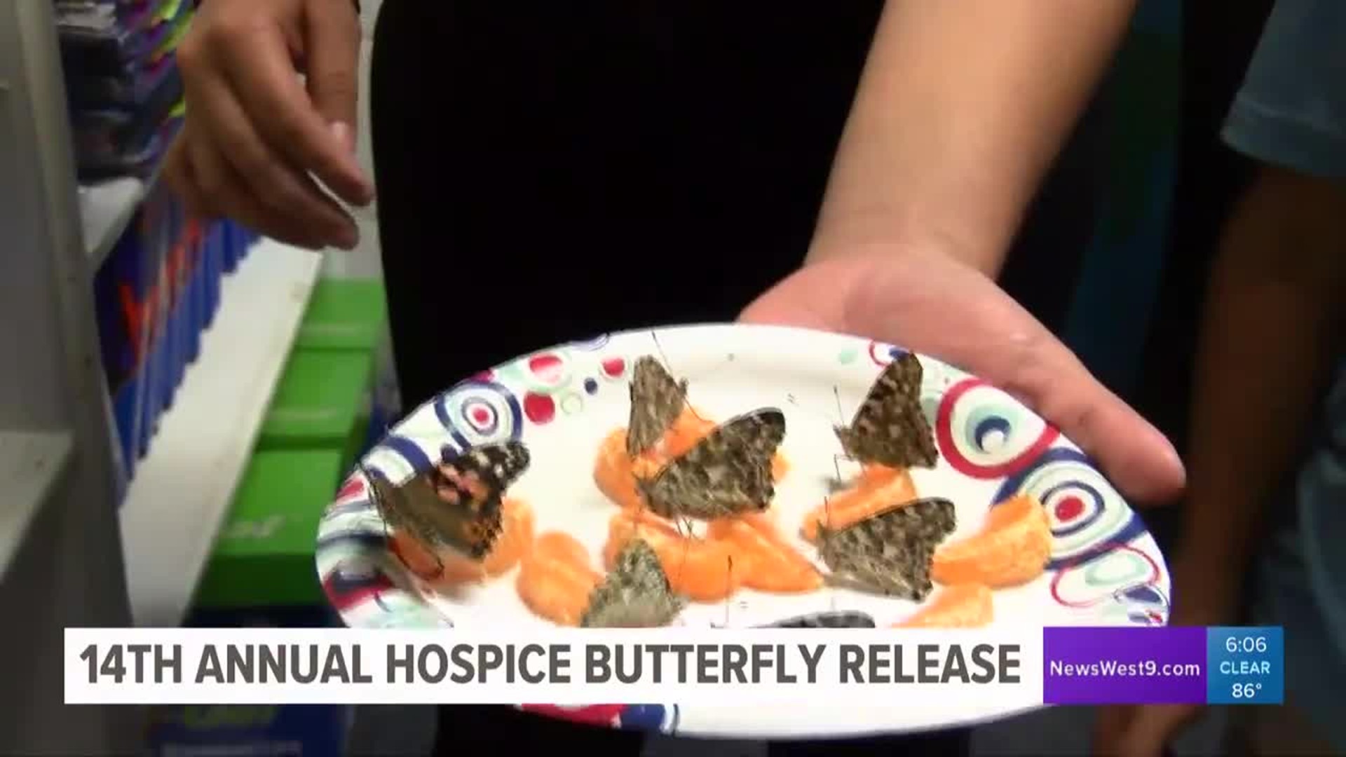 Butterfly release symbolizes passing of loved ones | newswest9.com