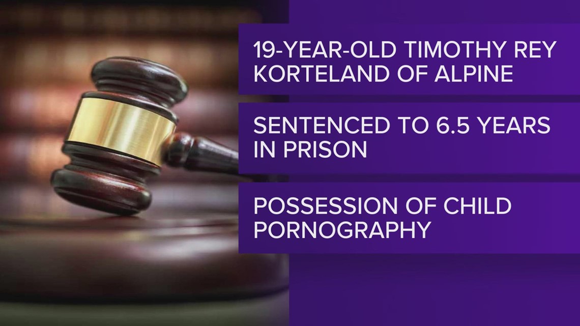 Alpine man sentenced to over 6 years in prison for possession of child ...
