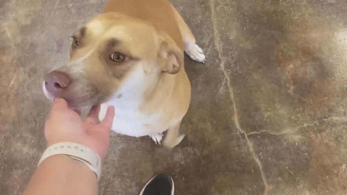 Interactive Weather Radar | Midland, Texas | newswest9.com