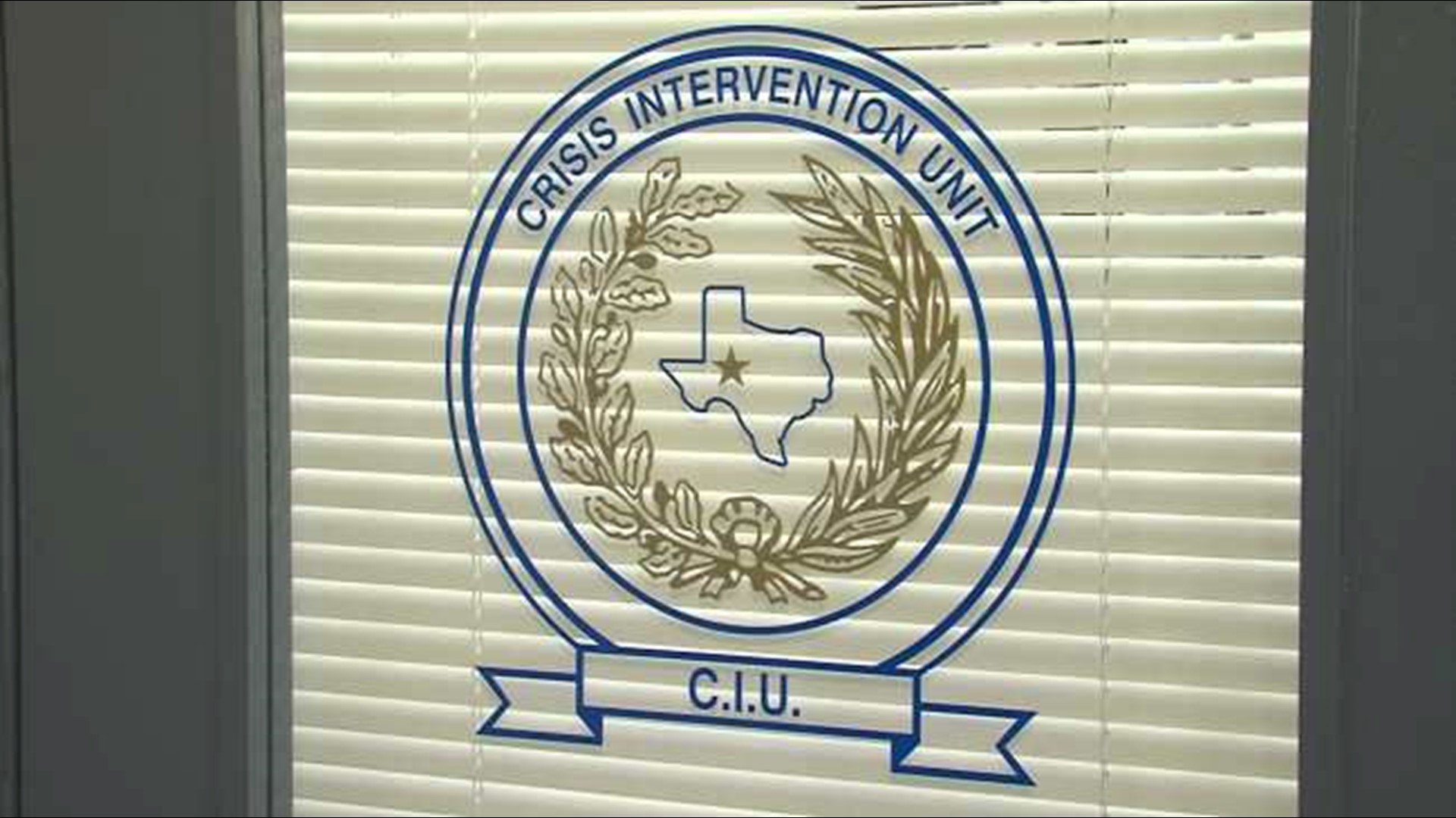 Midland County Crisis Intervention Unit Down Half the Volunteers Needed ...