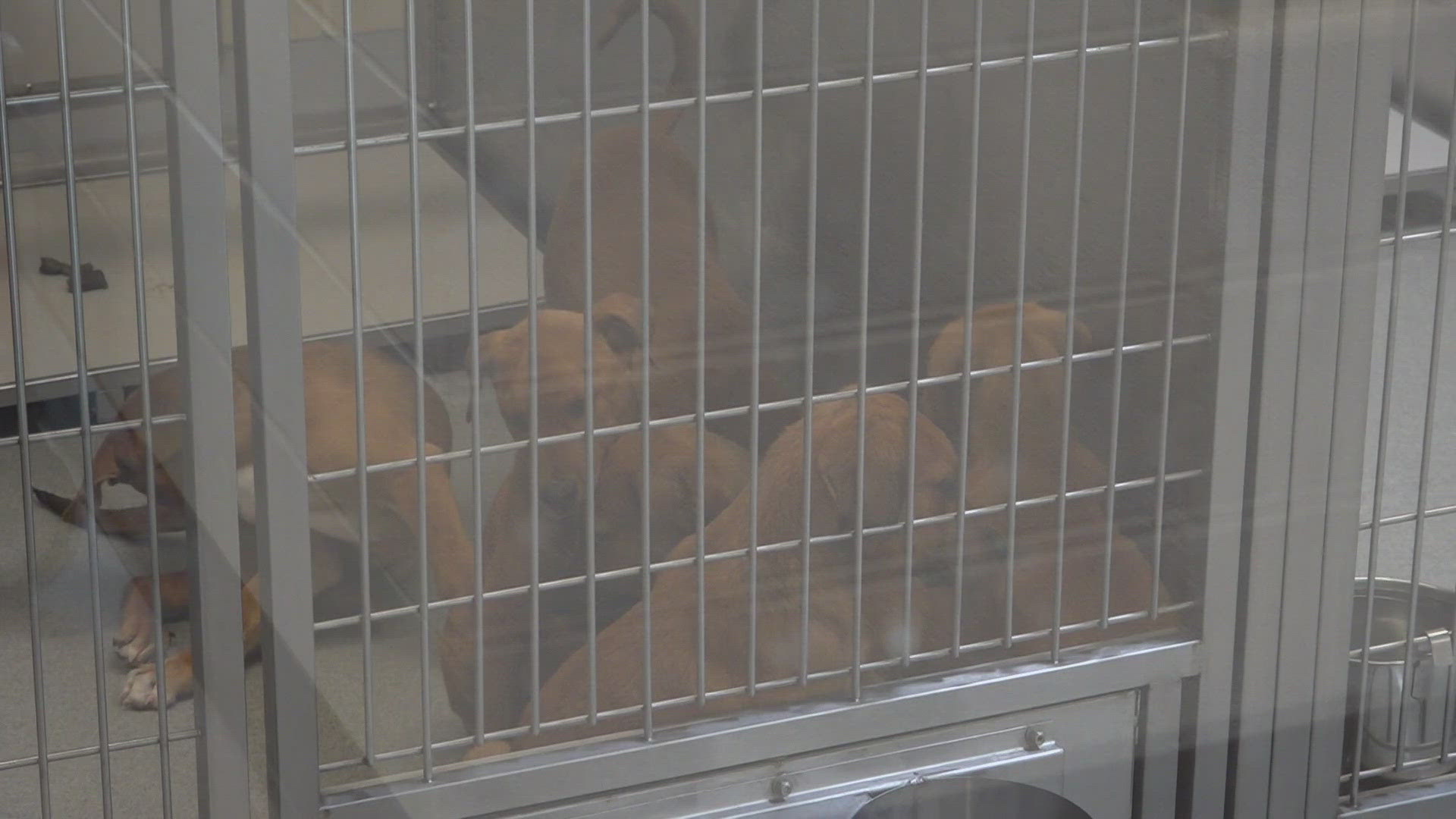 Preliminary information provides new info in fatal Pecos, Texas train ...