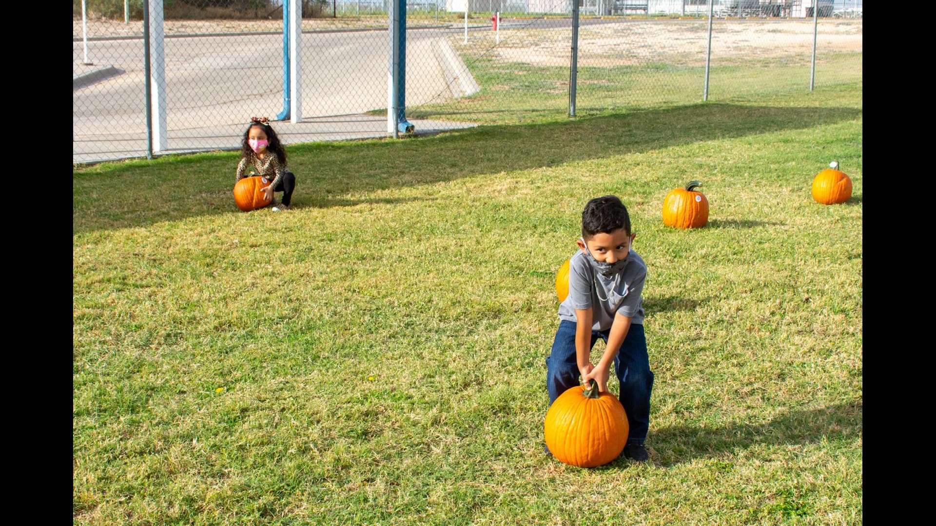Pumpkin patch fun in Fort Stockton | newswest9.com