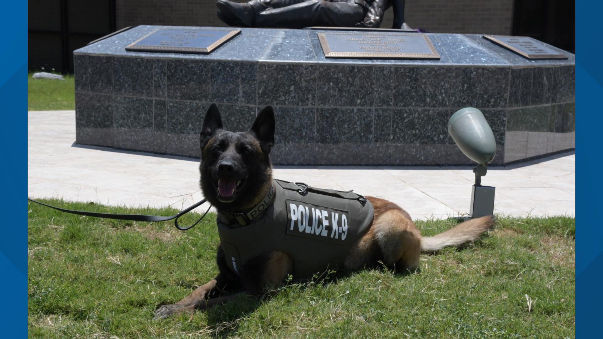 Odessa Police K9s receive protective vests donation | newswest9.com
