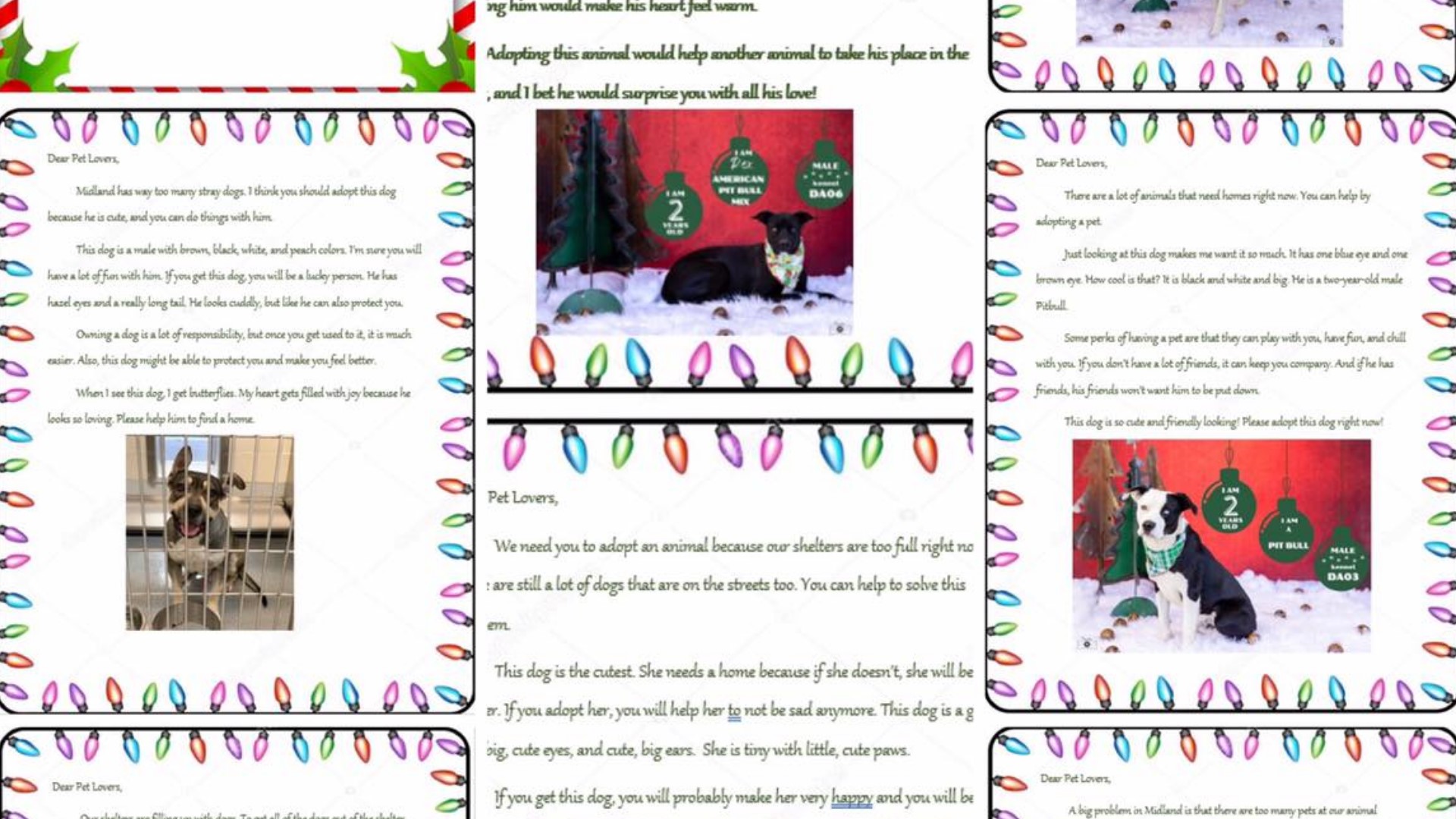 Students write essays about adopting pets from local shelters ...