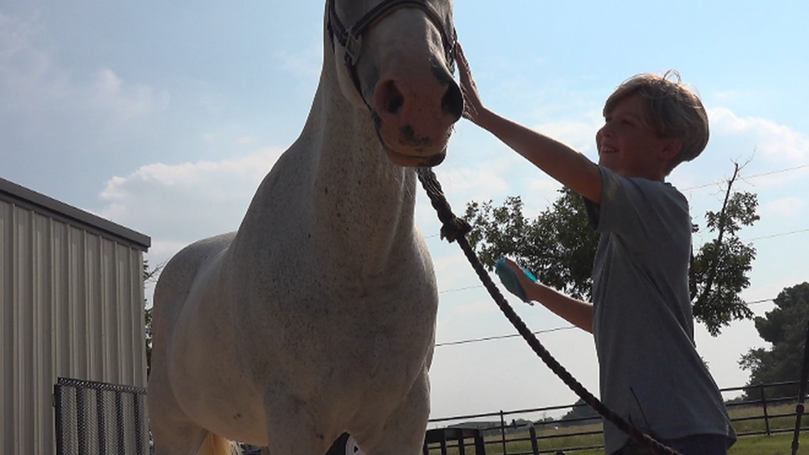 Midland boy reins in anxiety at Starlight Therapeutic Riding Center ...