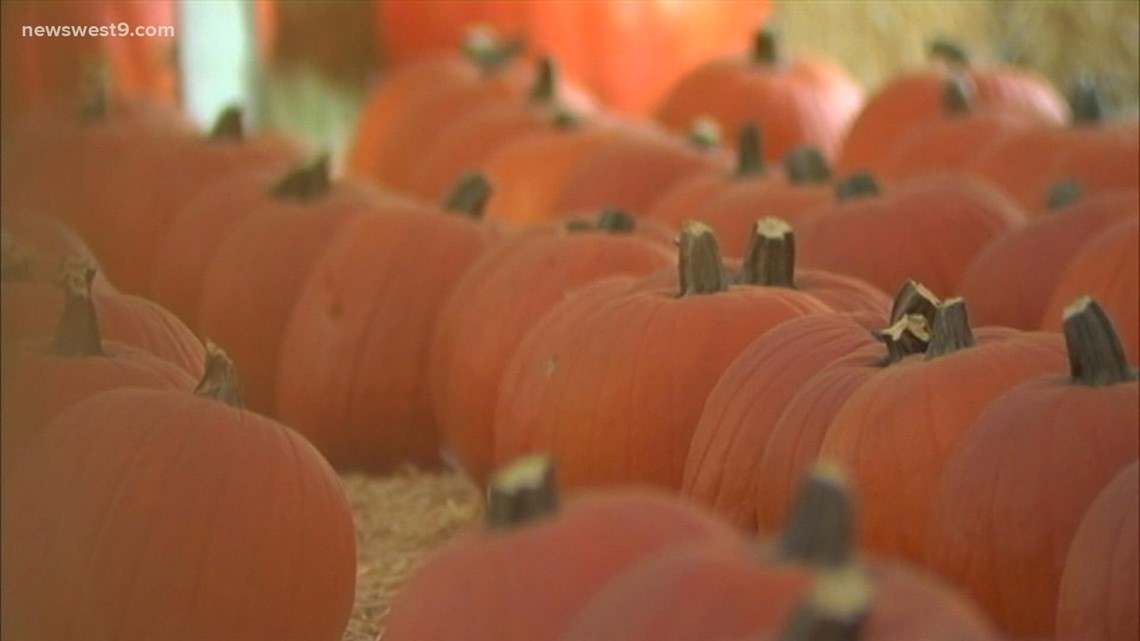 Truck driver shortage causes local pumpkin patch delay | newswest9.com