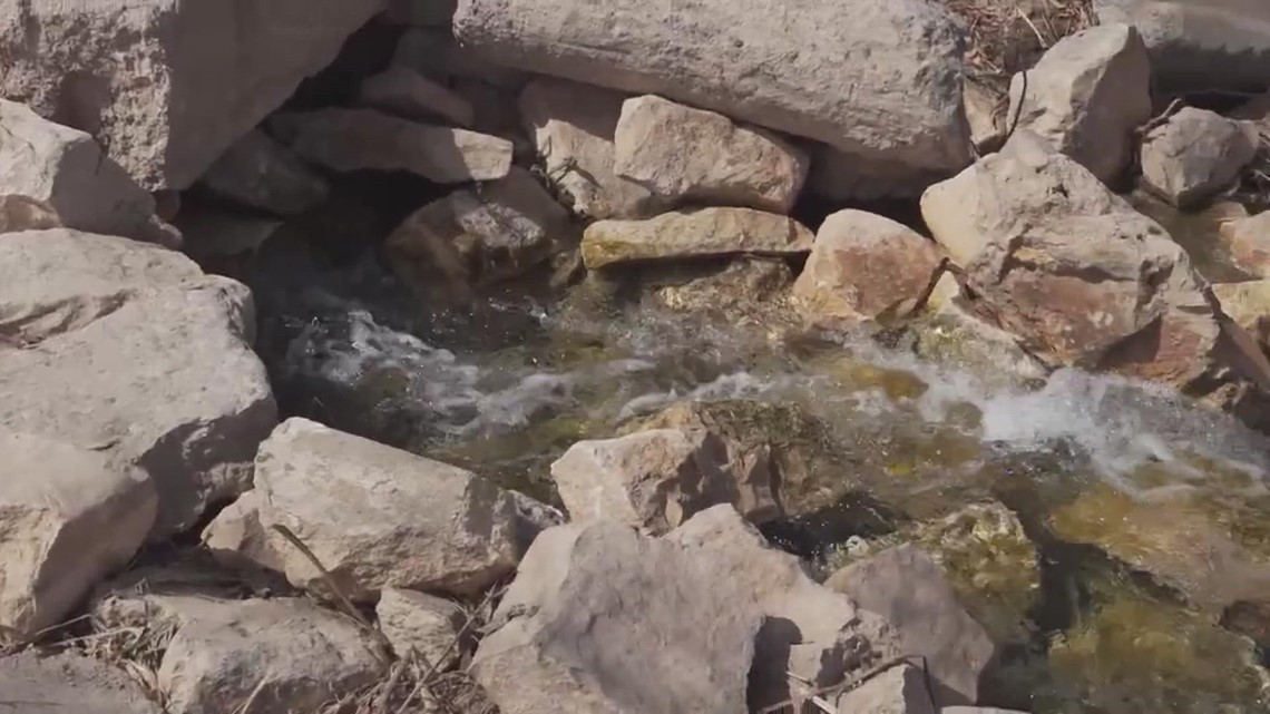 Annual SpringsFest celebrates Comanche Springs | newswest9.com