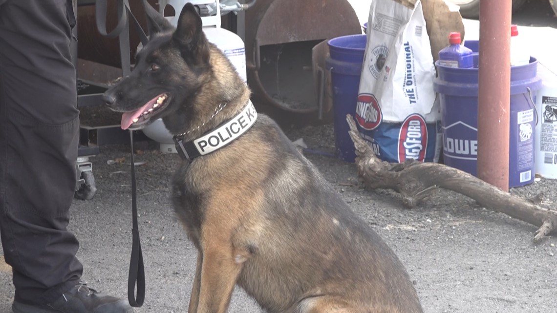 ECISD Police K-9 Unit is trained and ready to keep students safe this ...