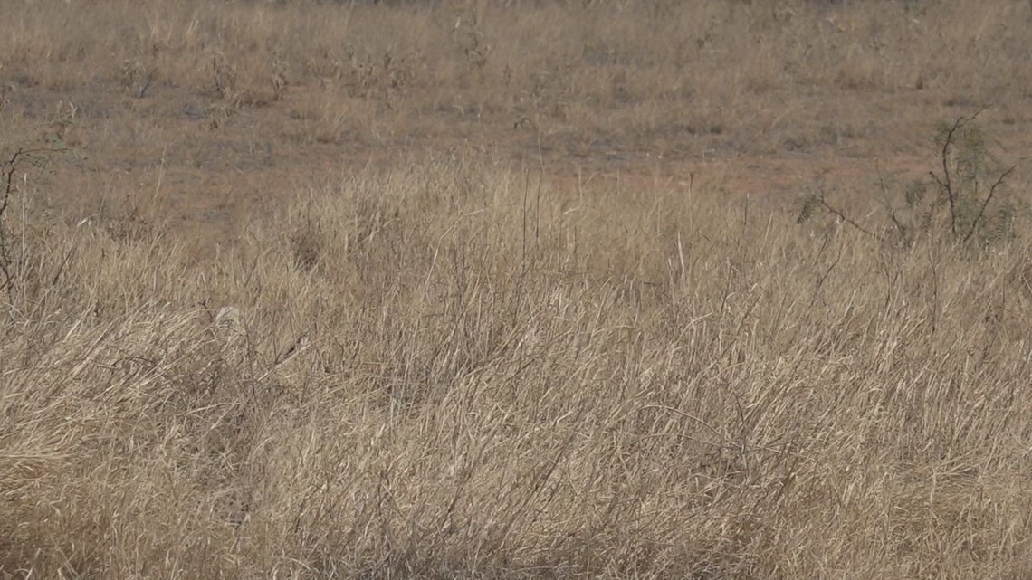 Dry conditions are causing increased fire danger in West Texas ...