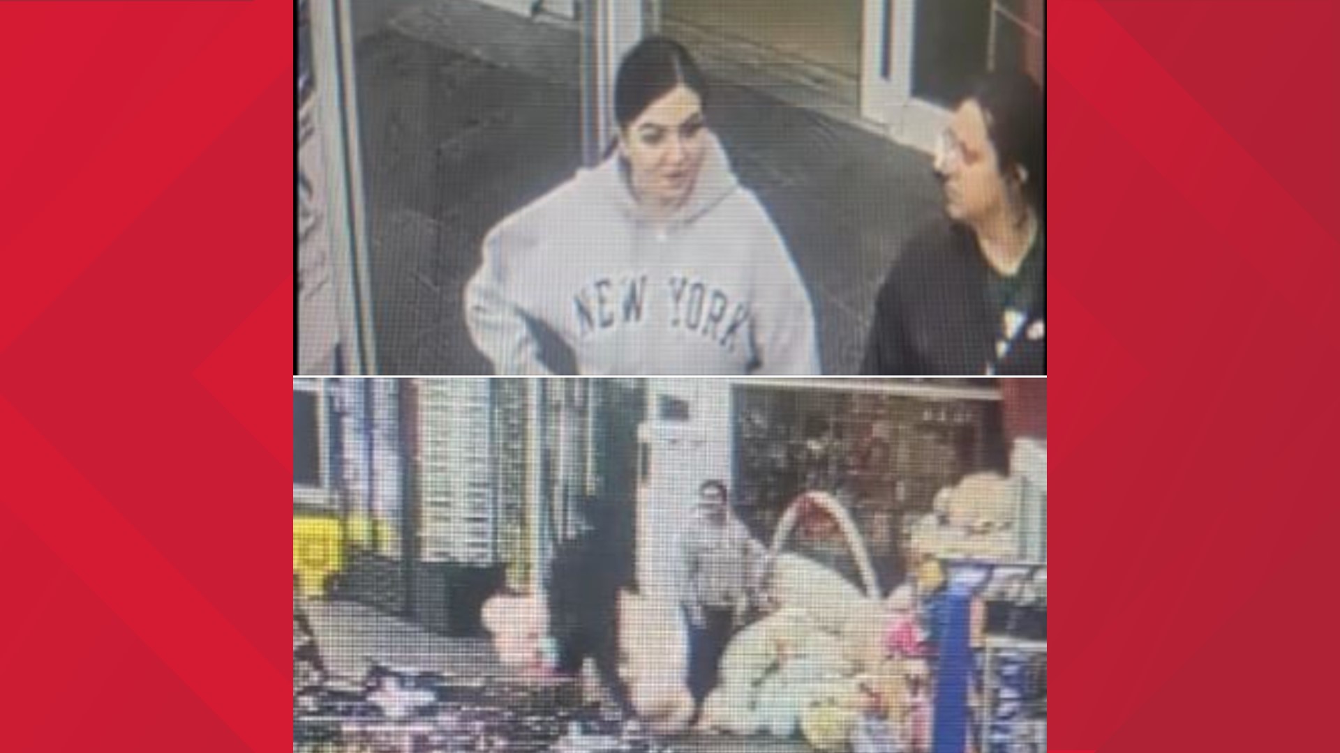 Teddy Bear Bandits | newswest9.com