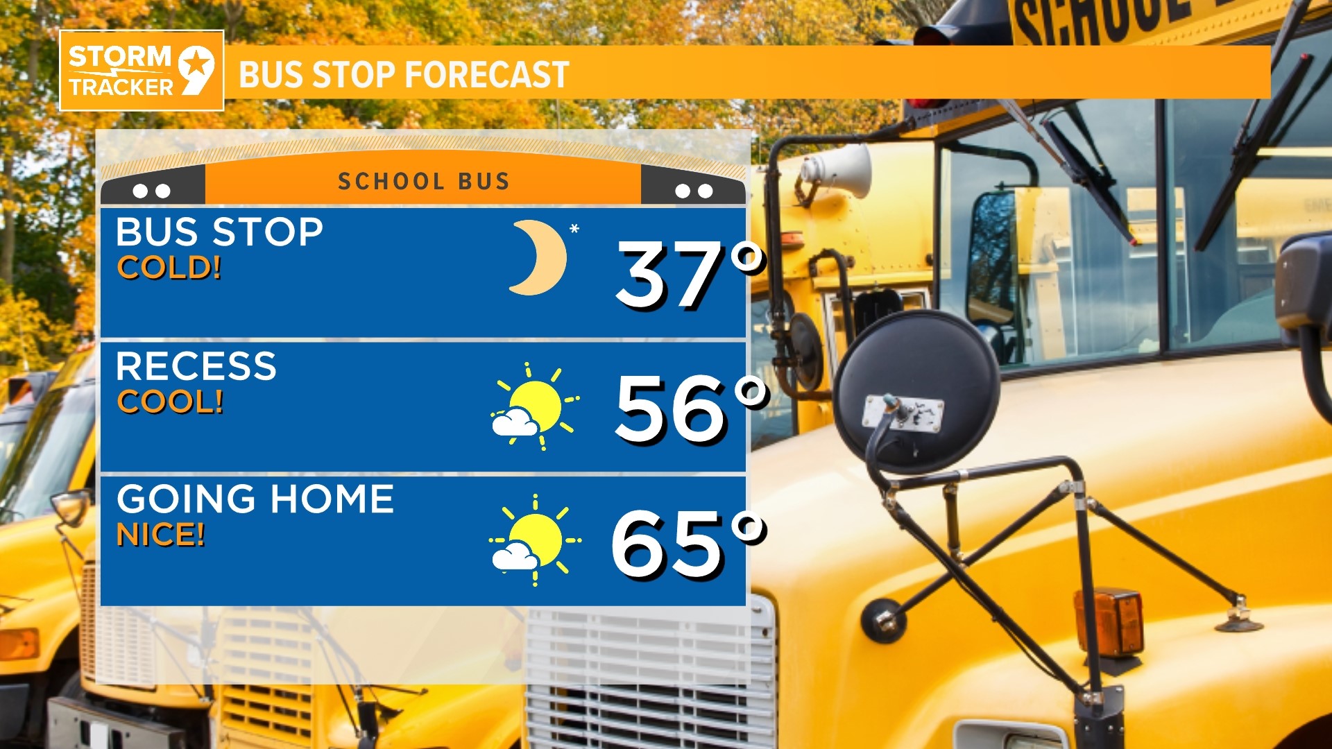 Firework reminders ahead of New Year's Eve | newswest9.com