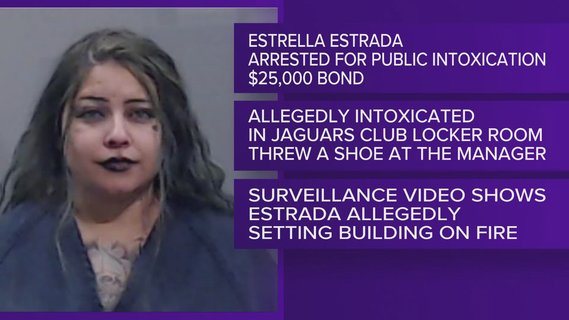 Cold-blooded smuggling: Truck packed with 163 reptiles, other animals ...