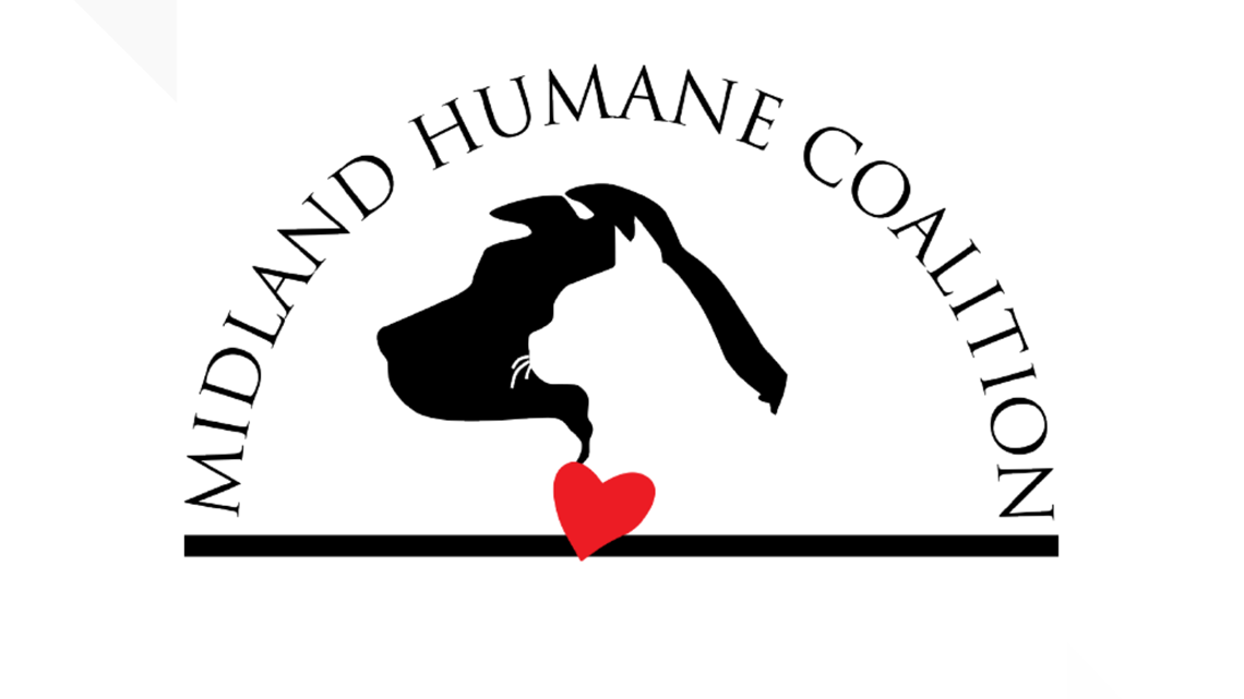 Midland Humane Coalition acquires new rescue facility in Midland ... Midland Humane Coalition acquires new rescue facility in Midland ...