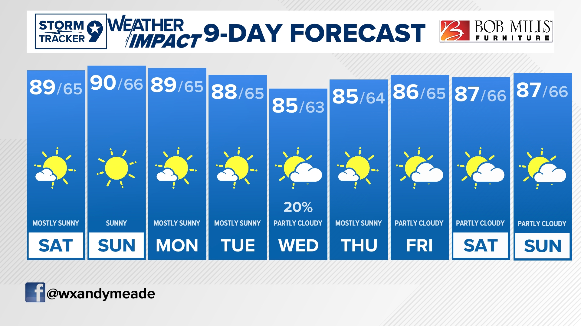 Court dates currently set for Alexee Trevizo, who was charged with ...