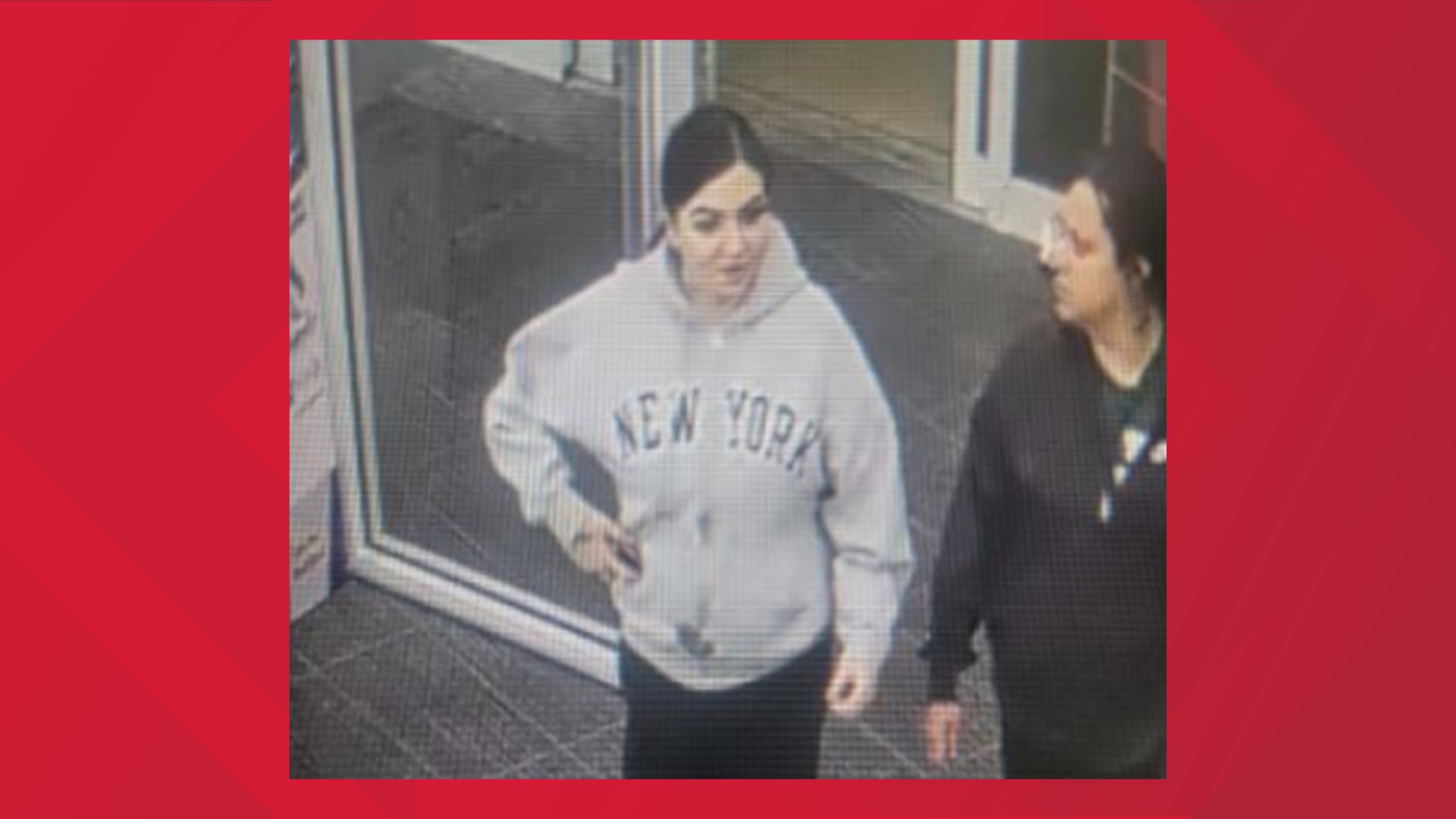 Teddy Bear Bandits | newswest9.com