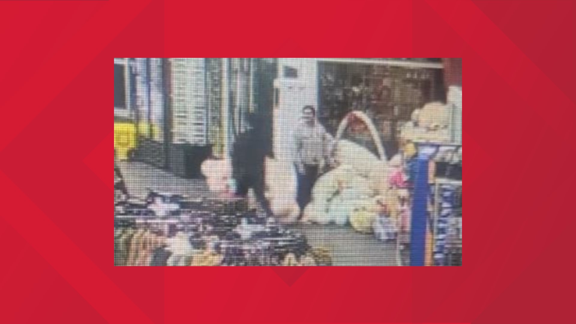 Teddy Bear Bandits | newswest9.com