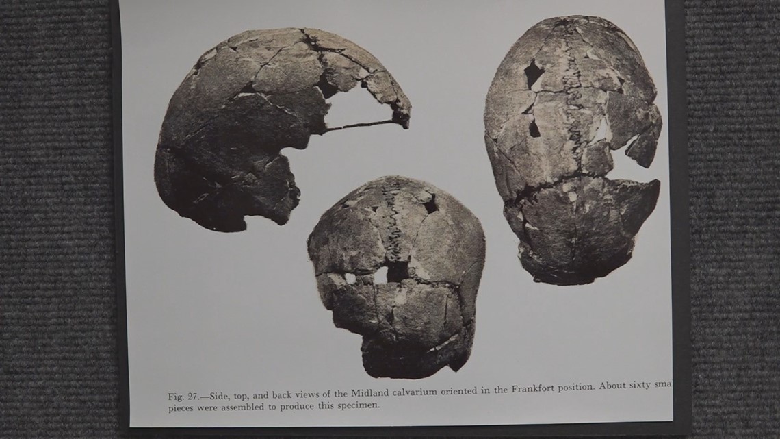 Midland skull was once known as the oldest skull in America | newswest9.com