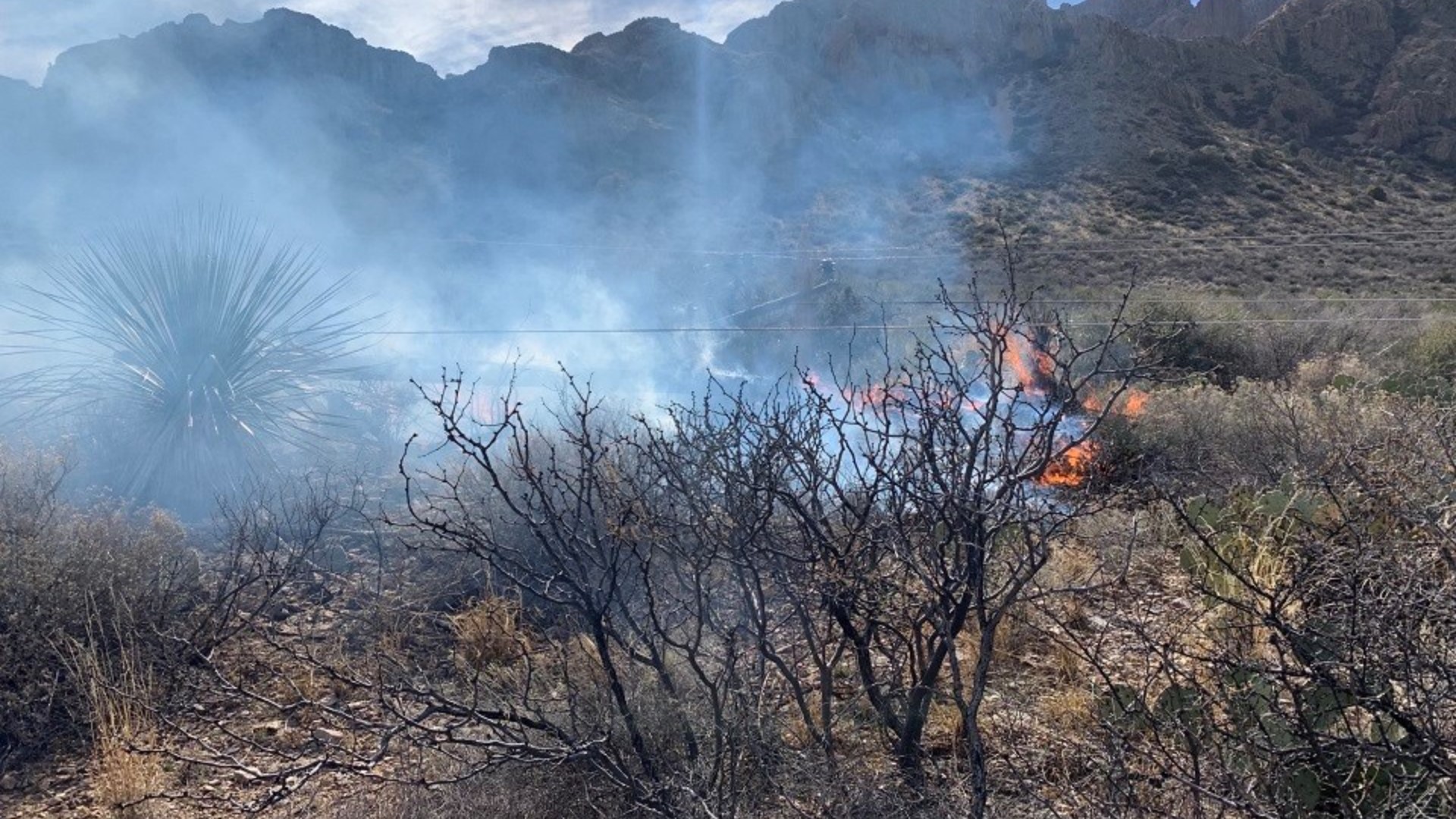 Small wildfire occurs in Chisos Basin due to downed powerlines ...