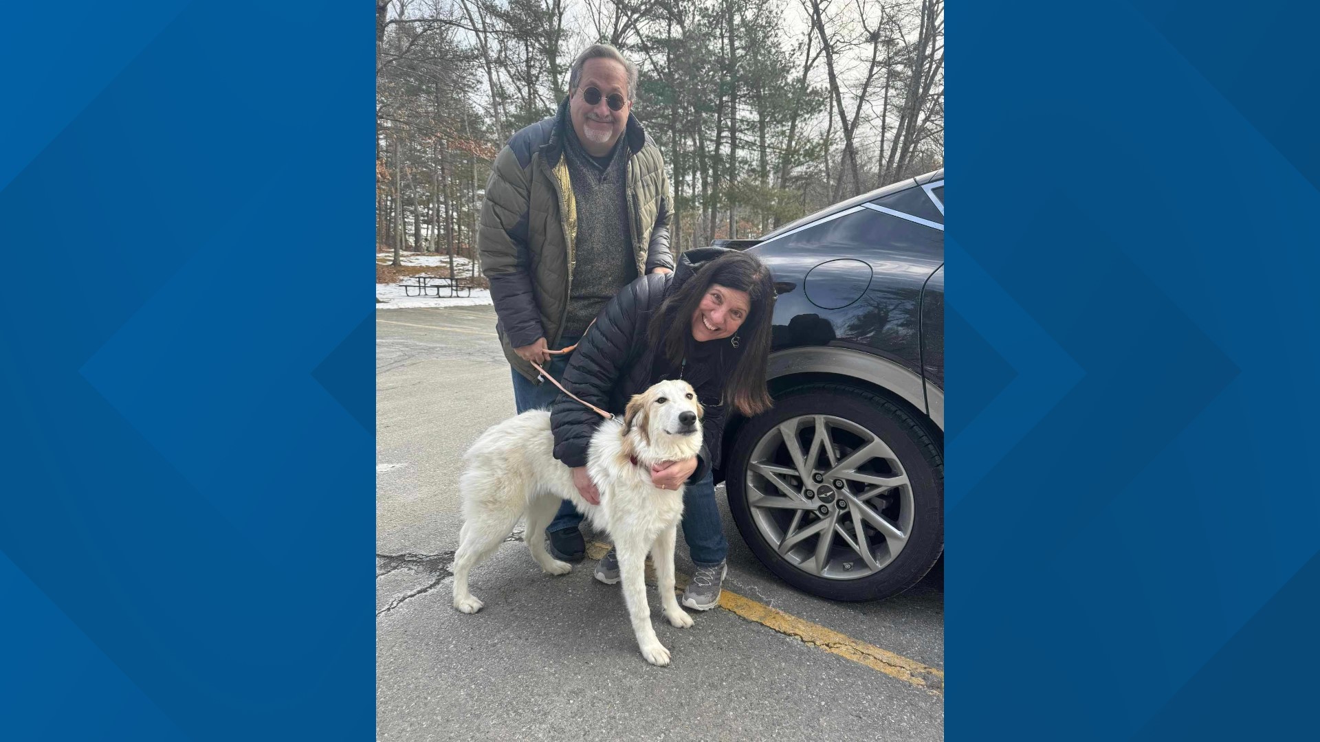 Permian Basin dogs find forever homes across the country | newswest9.com