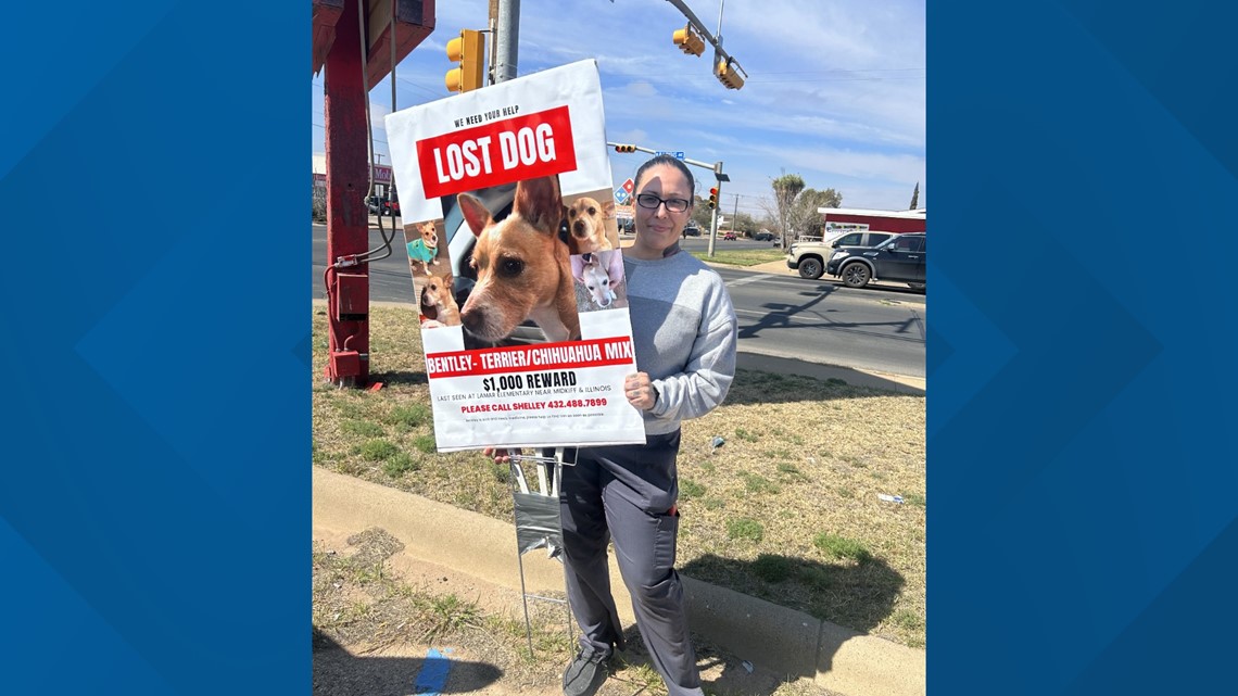 Midland woman helps stranger search for her lost dog | newswest9.com