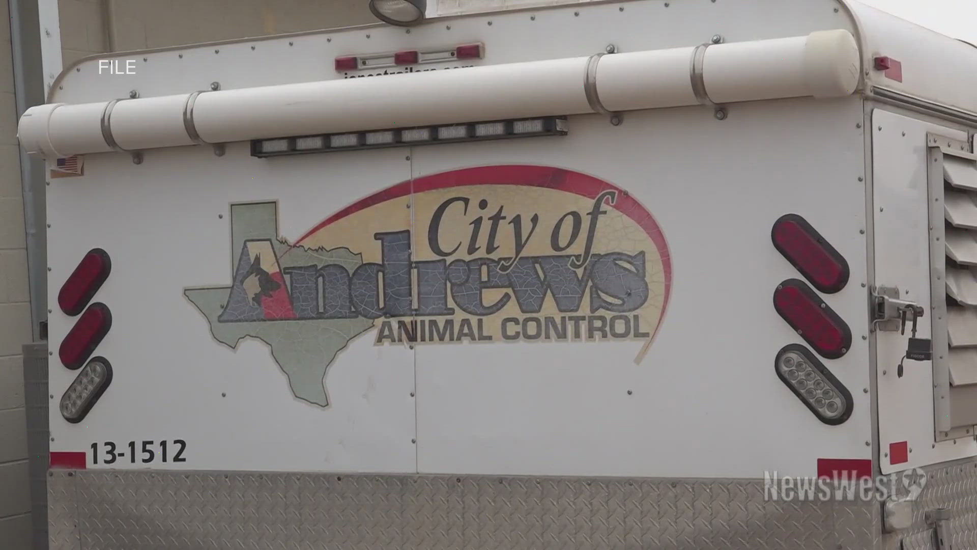Veterinarians confirm case of New World Screwworm in Andrews ...