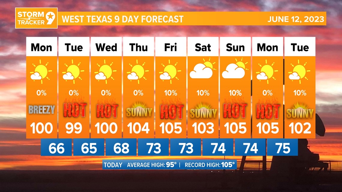 Meet Sparkles, NewsWest 9's Pet of the Week | newswest9.com