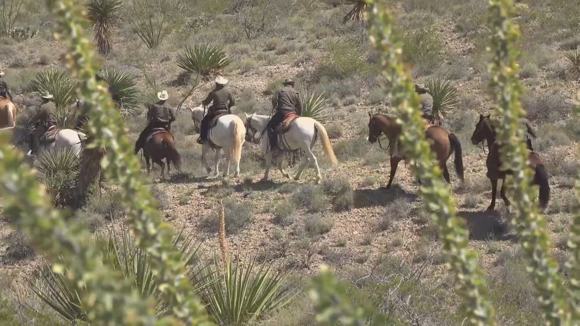 Ride along with Border Patrol as they welcome first foal in horse ...