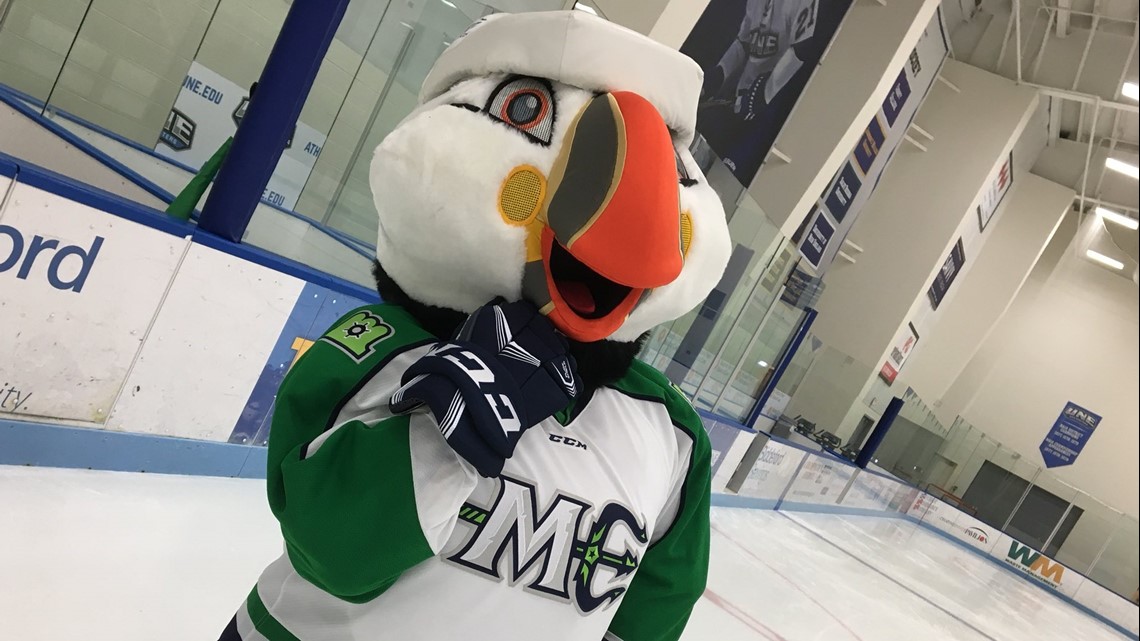 BEACON the Puffin | The Maine Mariners introduce their new mascot ...