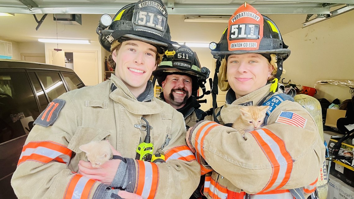 Kittens saved from house fire by Texas firefighters | newswest9.com