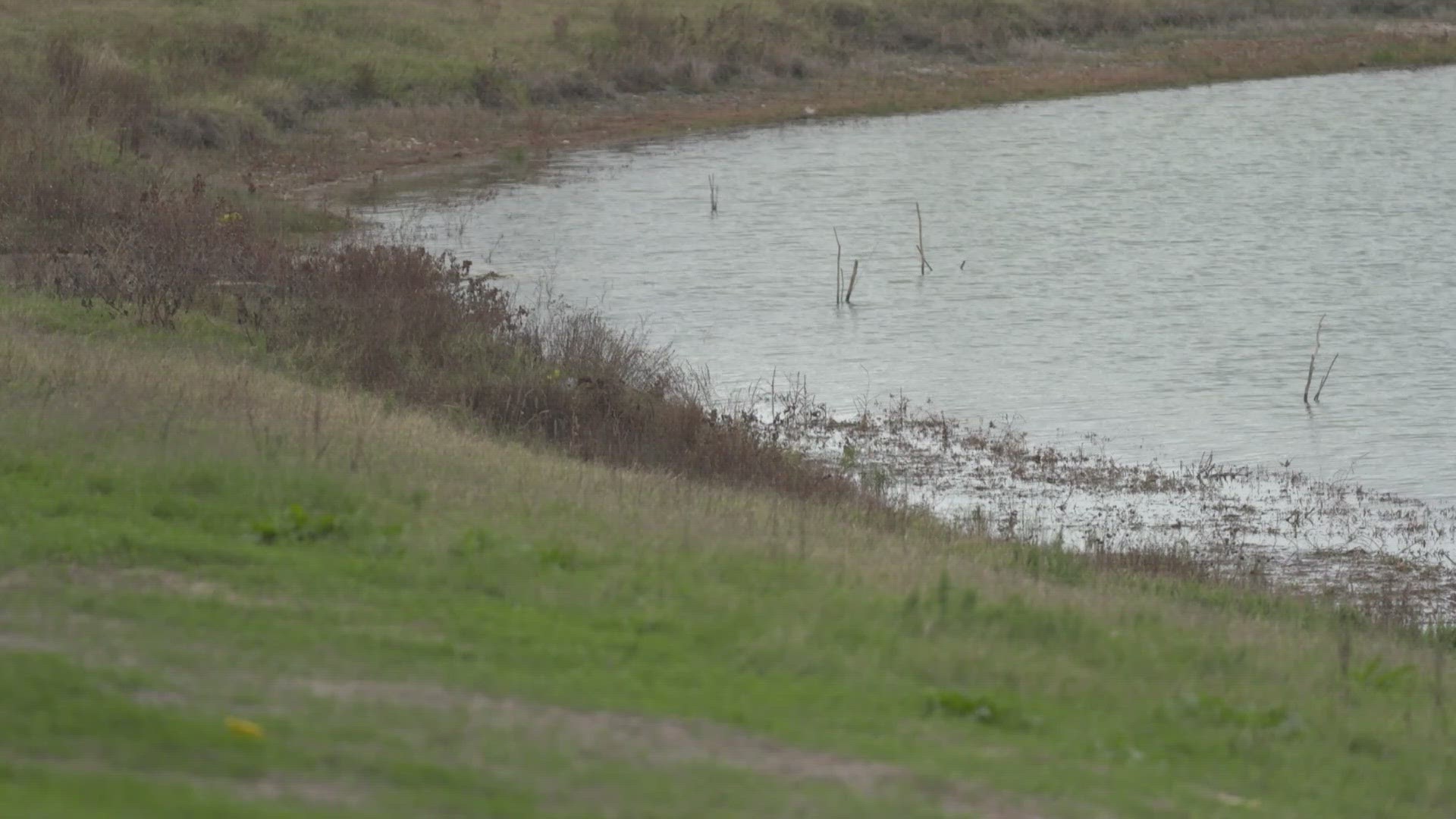 Police: Texas woman stabs husband, drives car into pond with kids ...